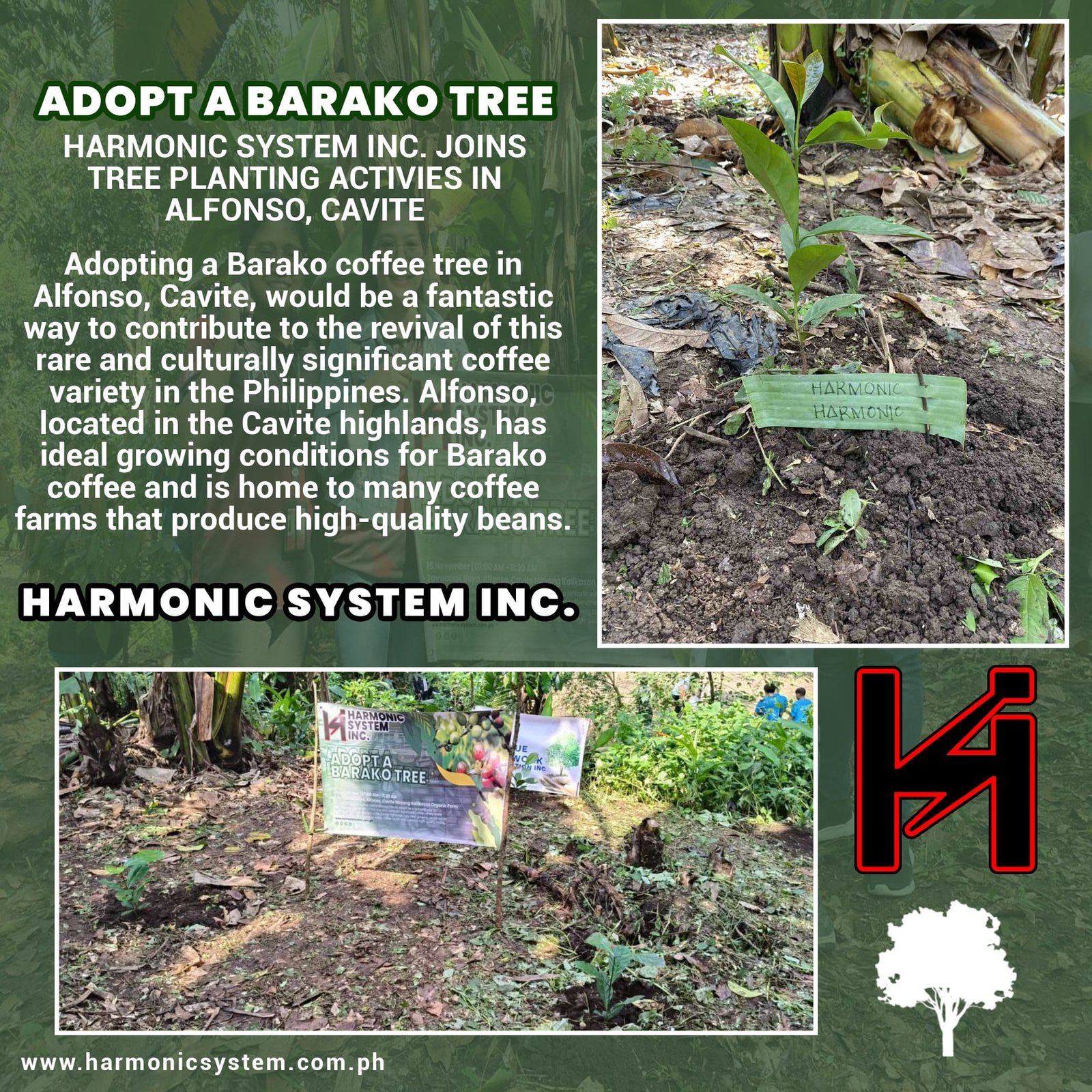 Harmonic System Inc. – Founded and Incorporated in the Year 2000